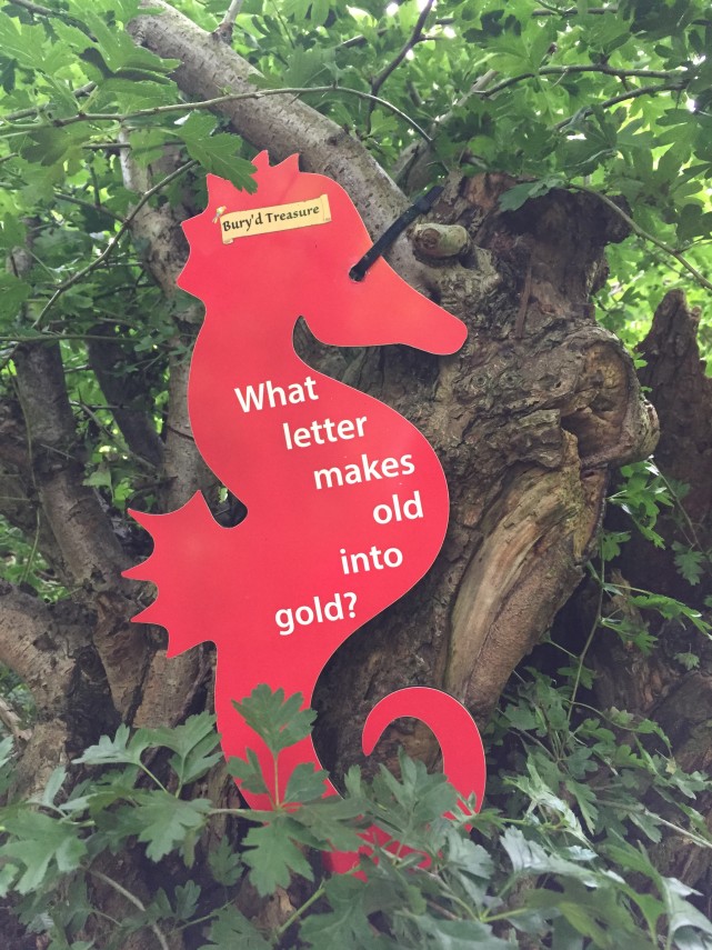 Wooden Signs & Interpretation Panels - Nature Sign Design