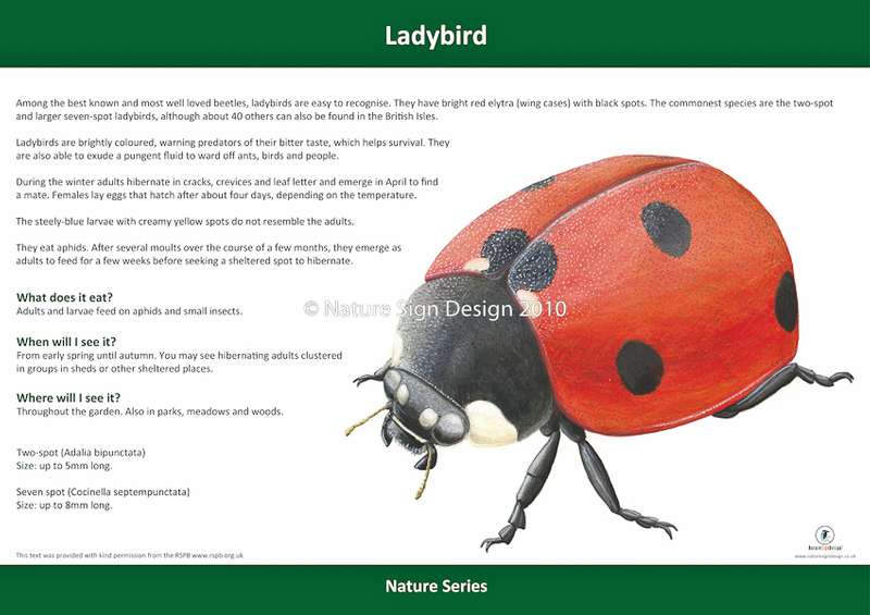 Sign_Ladybird
