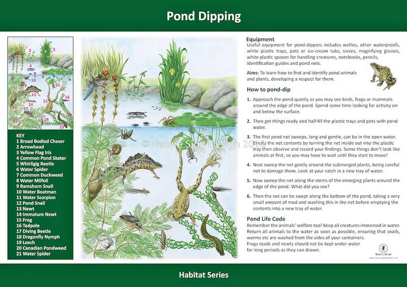 Sign_Pond_Dipping