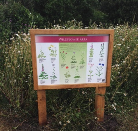 Wooden Signs & Interpretation Panels - Nature Sign Design