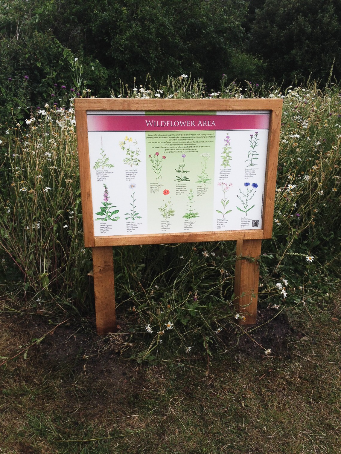 Lockable Notice Boards from Nature Sign Design