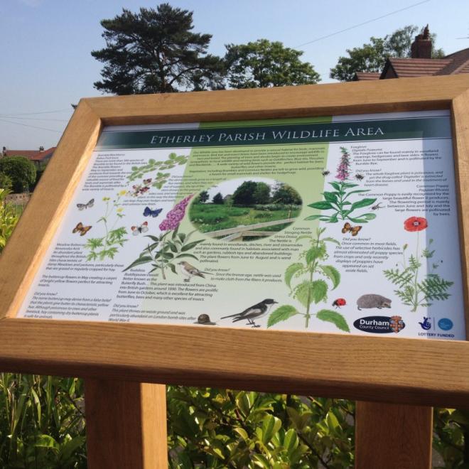 Interpretation Panels by nature sign design