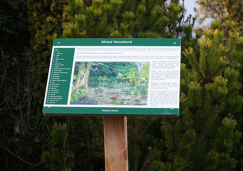 Standard Wooden Lecterns - Nature Sign Design