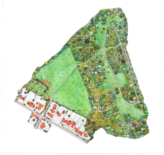 Maps - Illustrations by Nature Sign Design