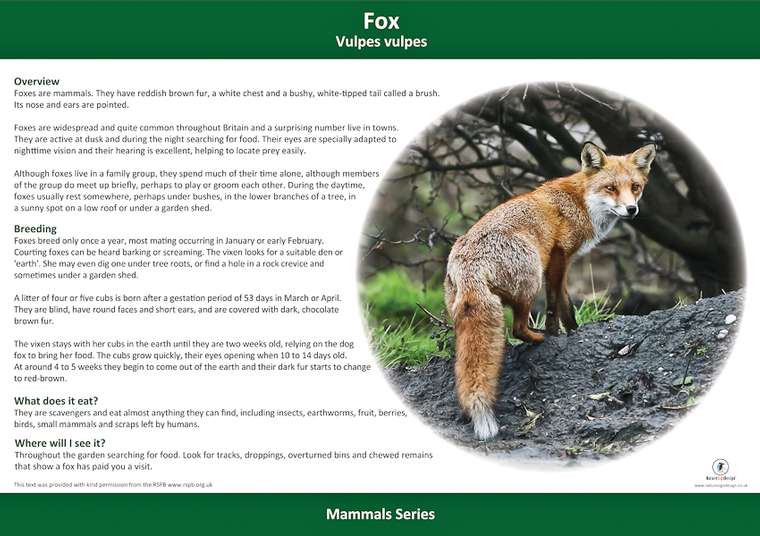 Nature Trails Mammals - Nature Sign Design.