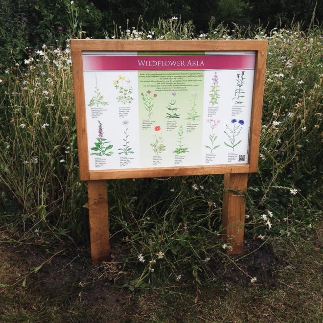 Lockable Notice Boards from Nature Sign Design