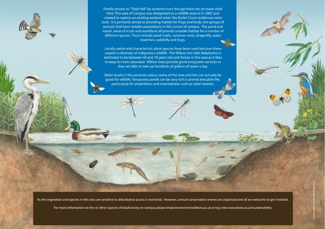 Graphic Design work completed by Nature Sign Design