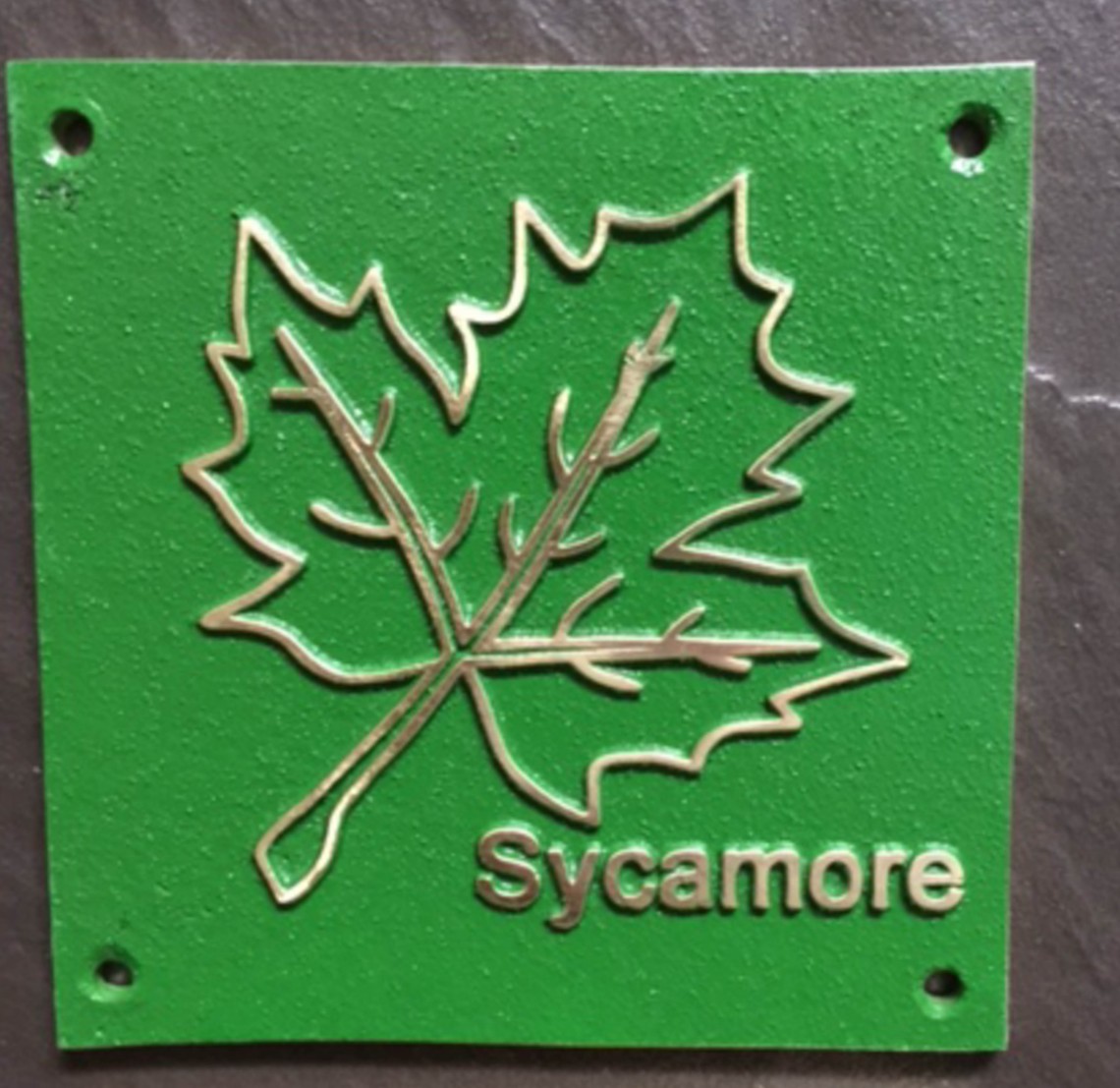 Nature Trail Rubbing Posts - Nature Sign Design