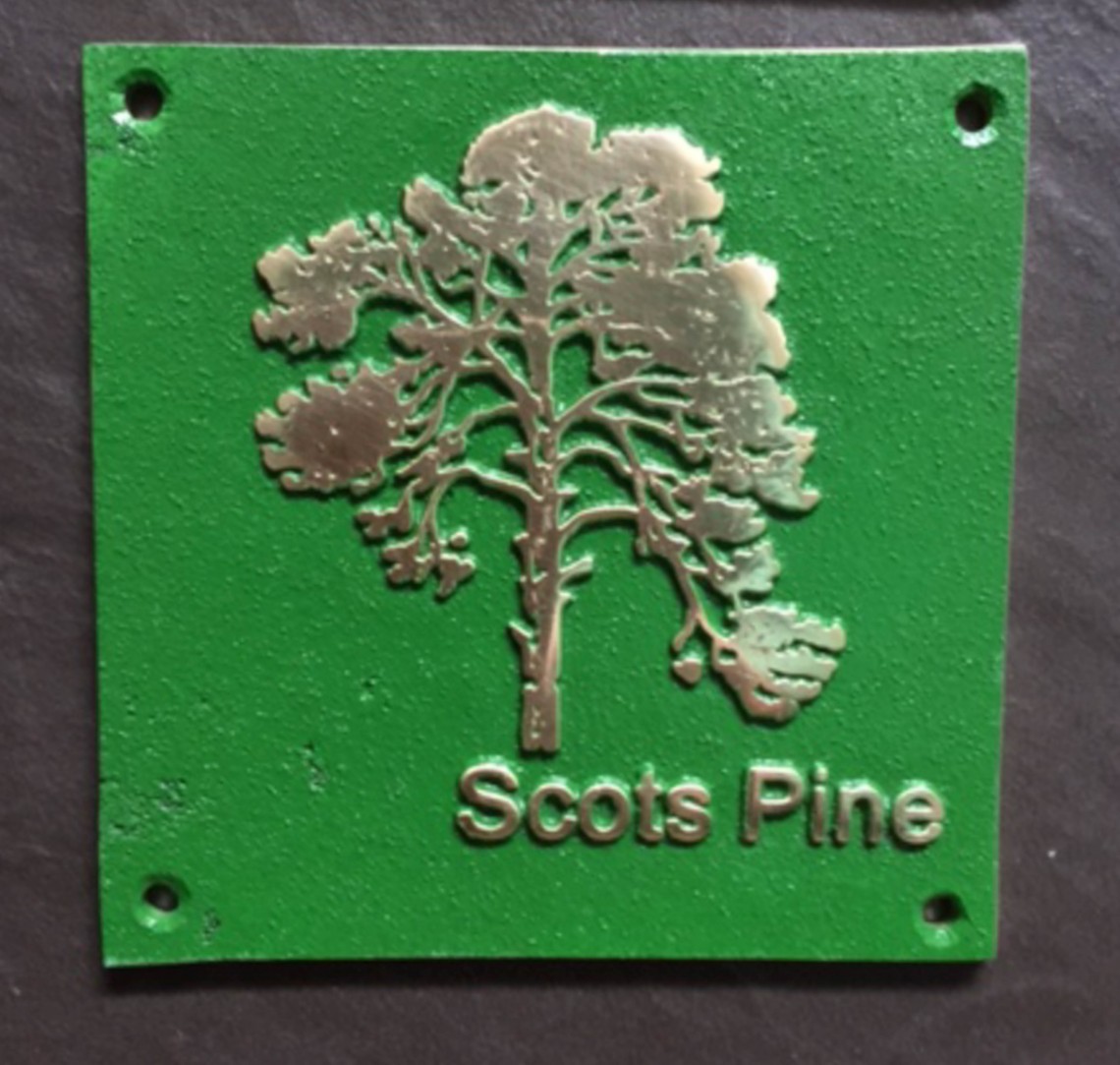 Nature Trail Rubbing Posts - Nature Sign Design