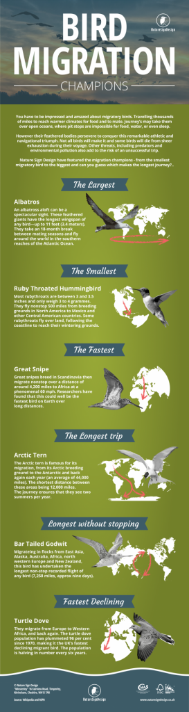 Bird Migration Champions! From Nature Sign Design.