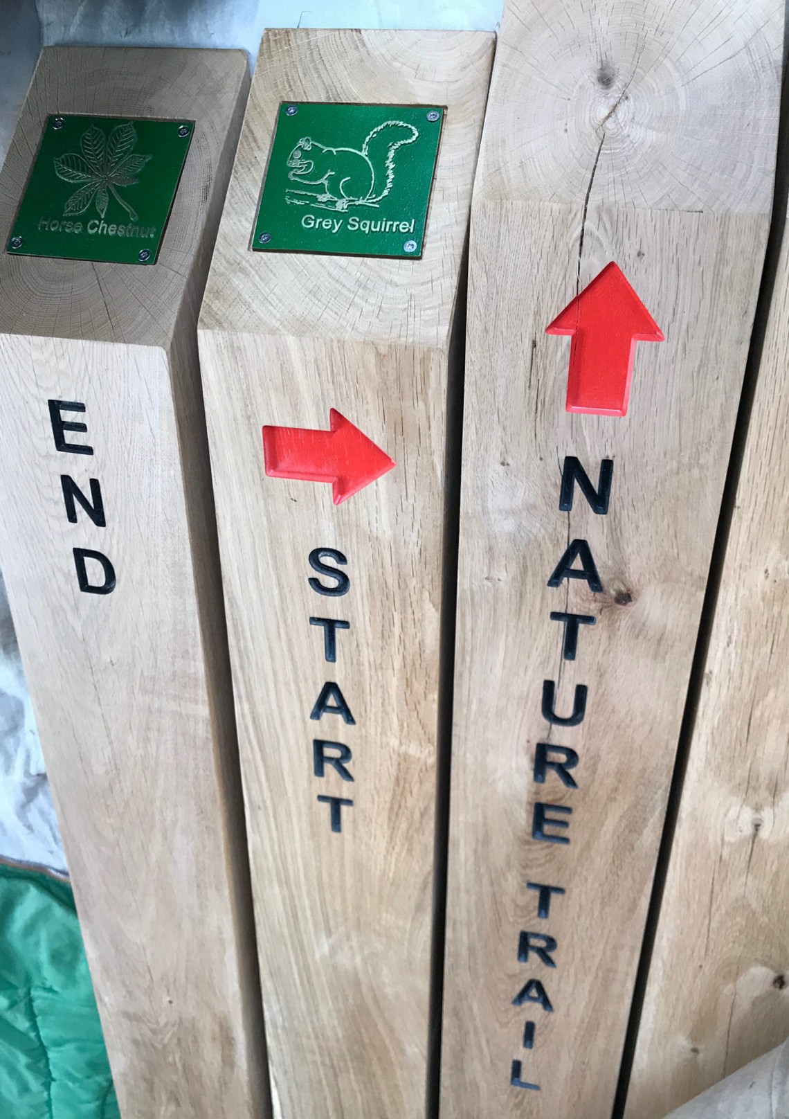 Bespoke Nature Trail Rubbing Posts from Nature Sign Design