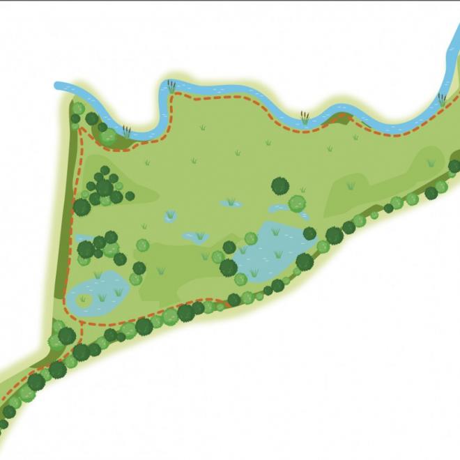 Maps - Illustrations by Nature Sign Design