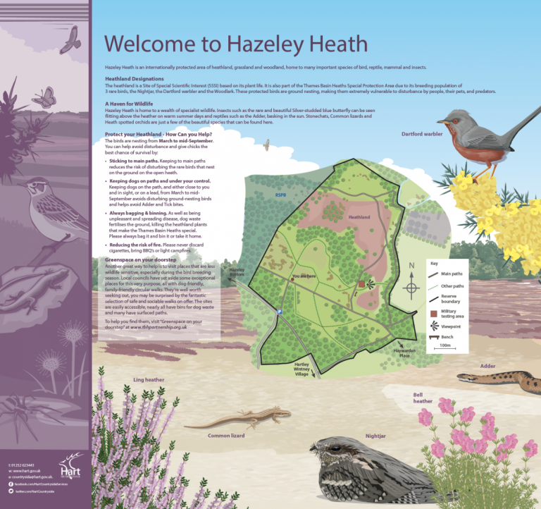 Hazeley Heath