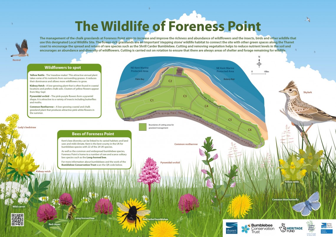 A1 Foreness Point panel-4