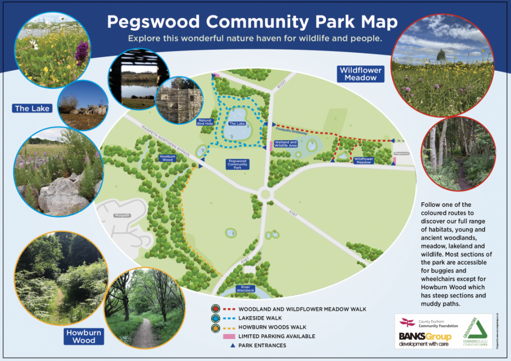 10063 NSD Pegswood A1 Board 1 - Map Proof4