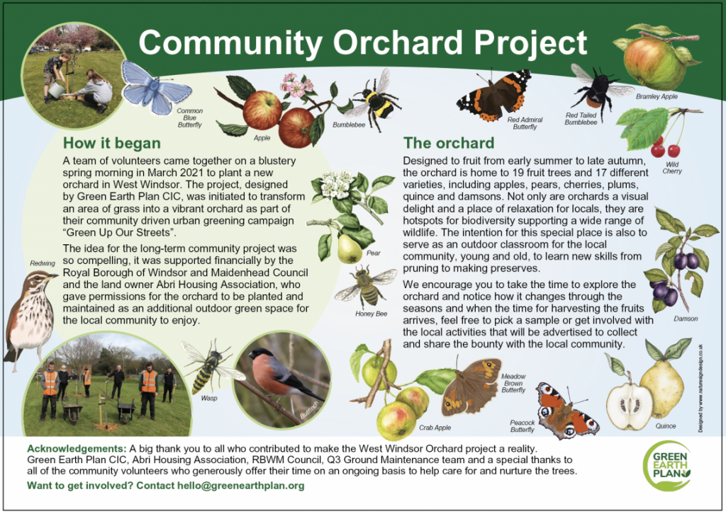 Nature Trails Trees - Nature Sign Design