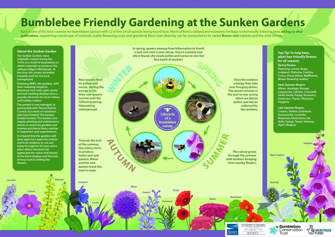 A1 bumblebee board V2