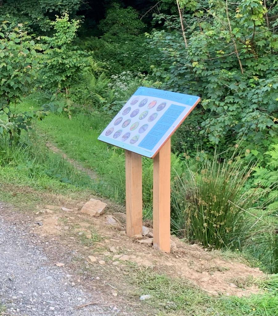A1 standard lectern